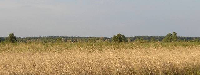 Тайны Мира, Души и Здоровья