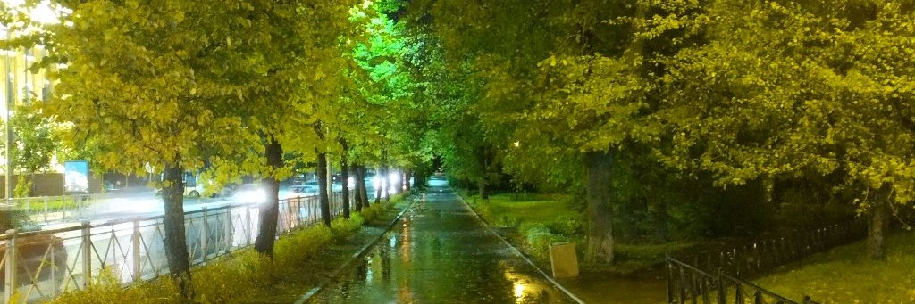 Дикая планета