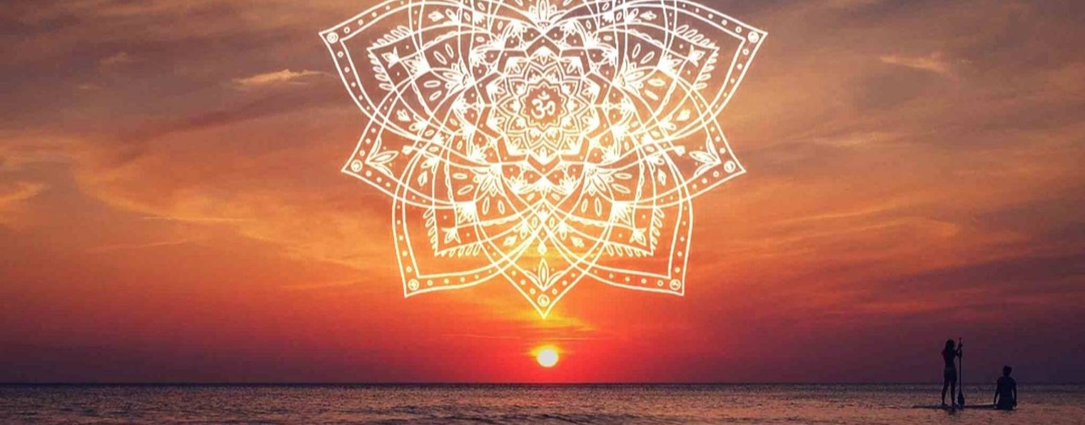 Наблюдаю жизнь