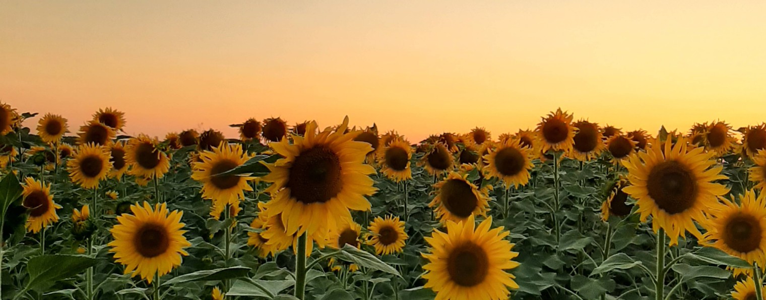 Крымское подворье