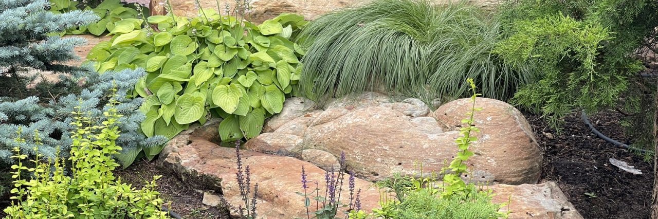 Агроном по защите растений