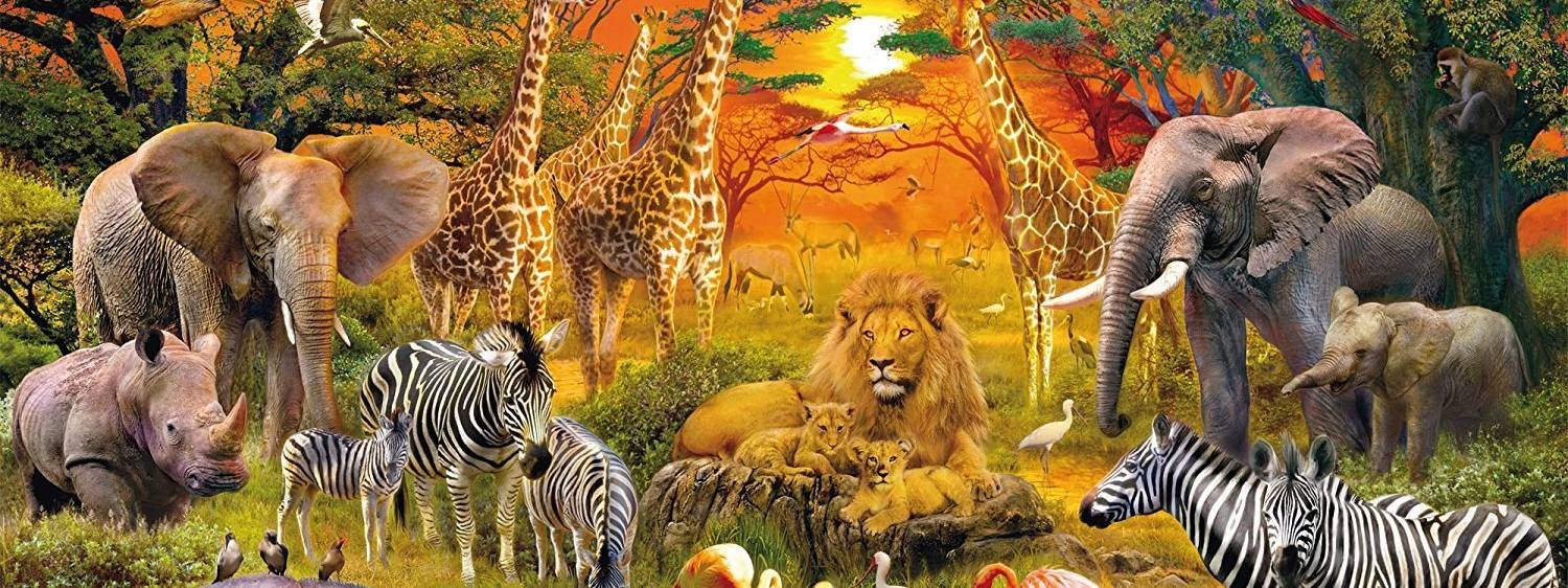 Animals in the world