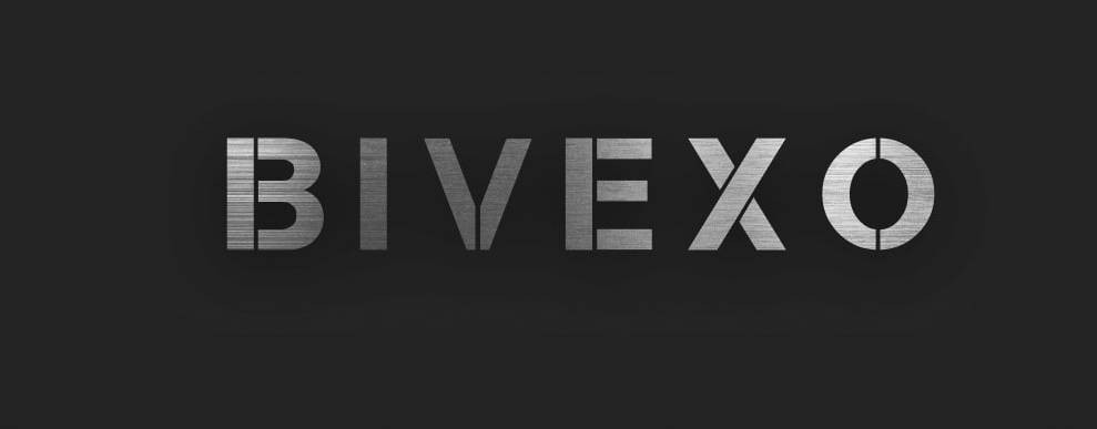 BIVEXO GROUP LIMITED