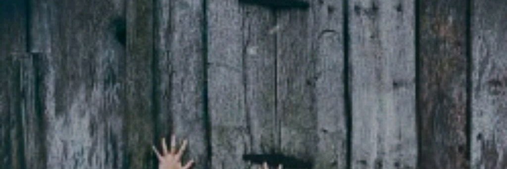 Видео из дп