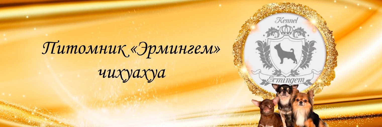 Питомник чихуахуа «Эрмингем"