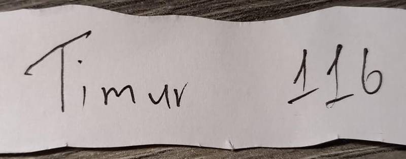 Timur116