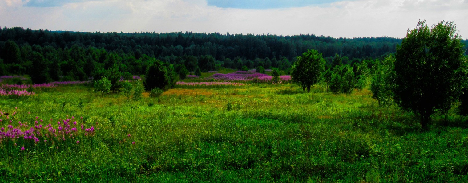 ЖИВАЯ ПРИРОДА