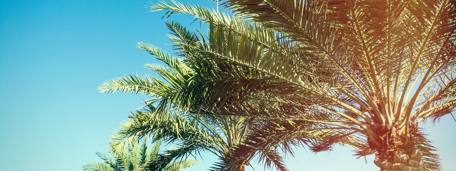 Юлия Ларионова