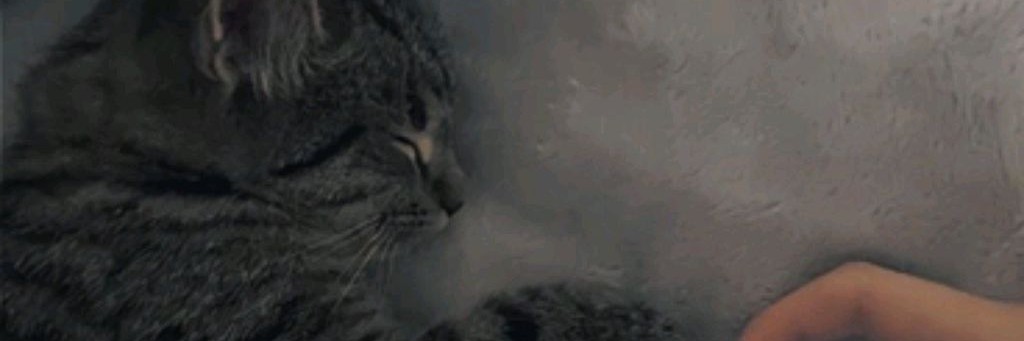 ❀П͟о͟н͟и͟ ͟Г͟е͟й͟м͟е͟р͟❀