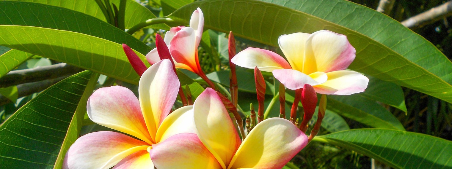 Relaxation of Nature