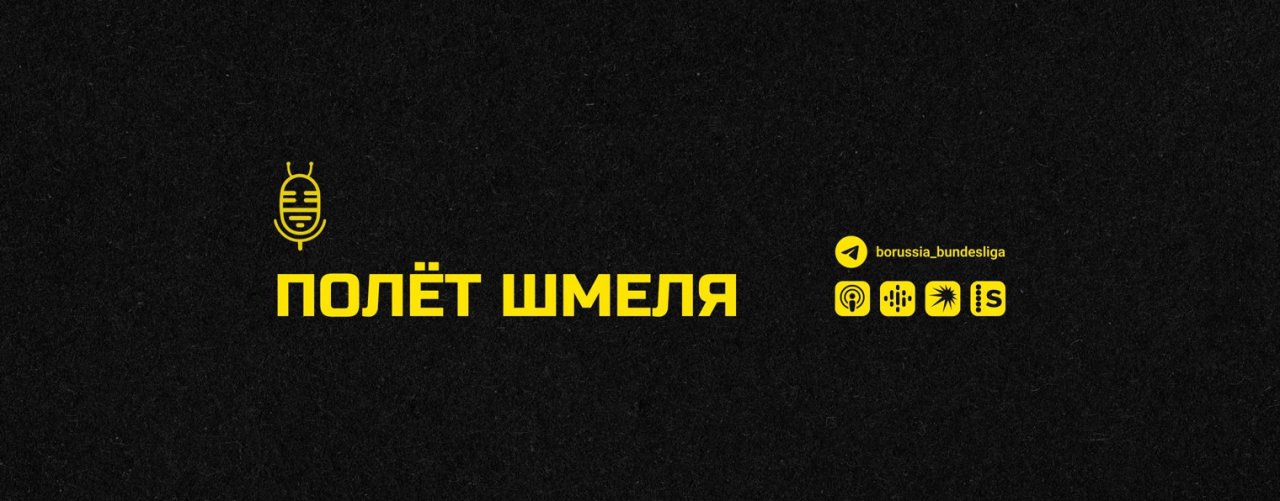 Полёт Шмеля | Боруссия Дортмунд