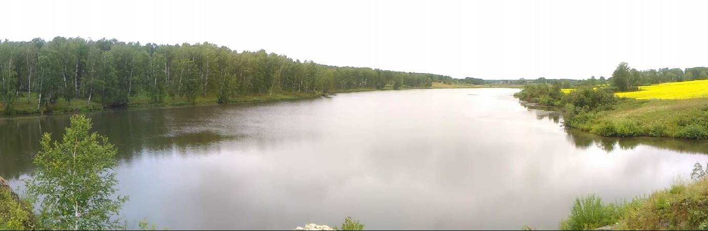 Дмитрий Кривоносов