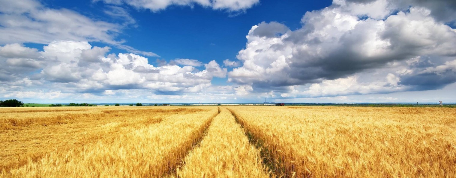 Калита Алекс