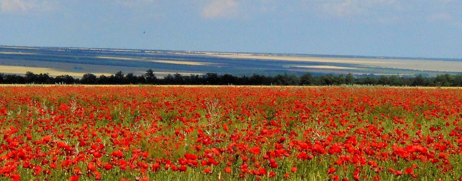 Ильина Татьяна Александровна