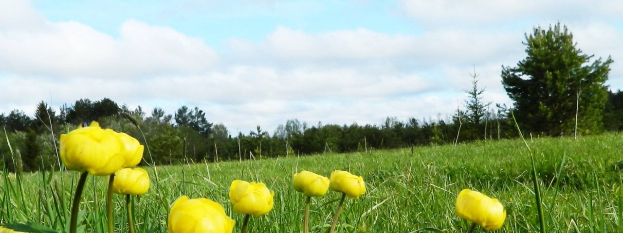 Мы в своей теме