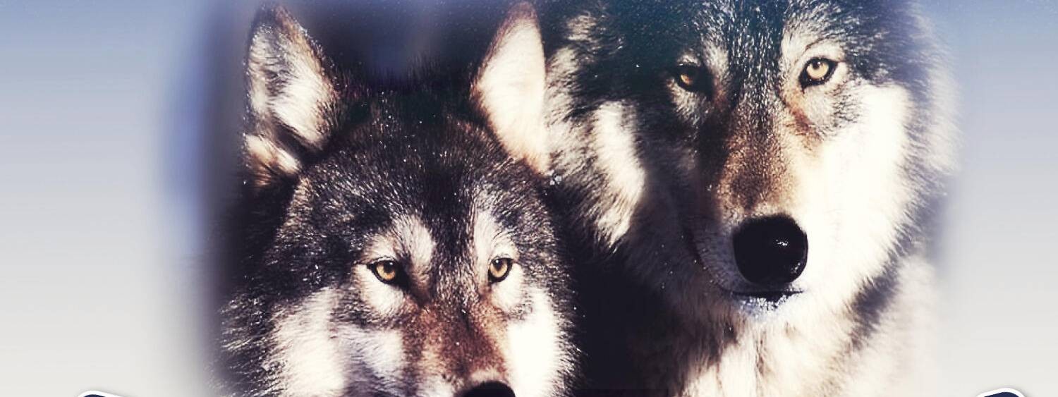 Иван Александрович