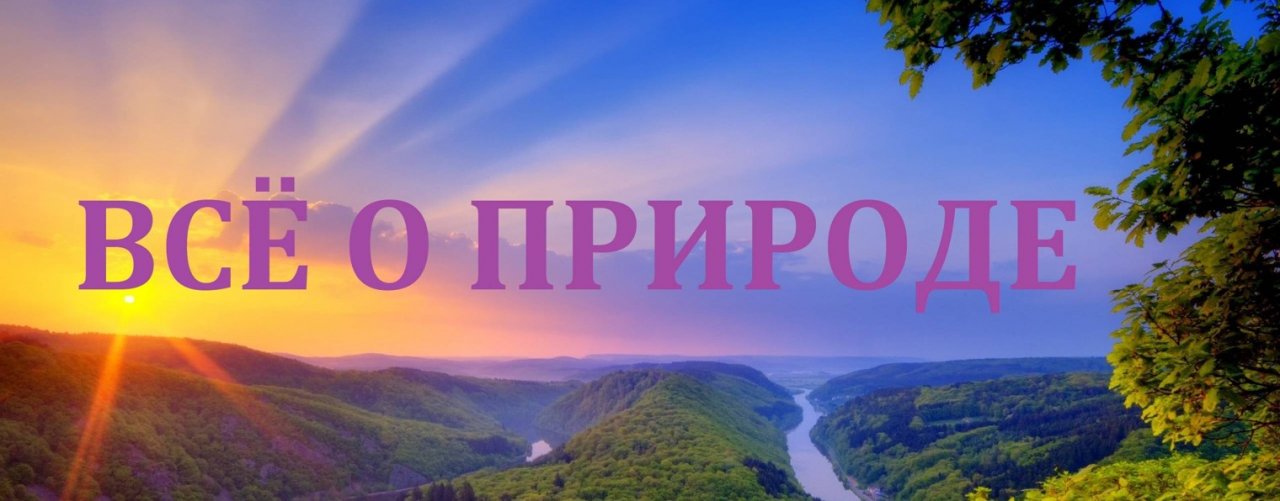 ВСЁ О ПРИРОДЕ ПОДПИШИСЬ