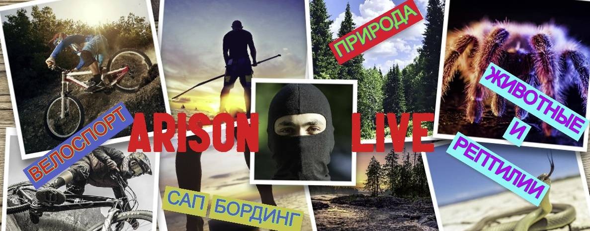 Arison LIVE