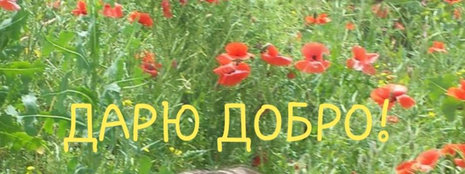 Семейные секретики