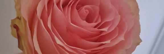 БРОШКИ И НЕ ТОЛЬКО