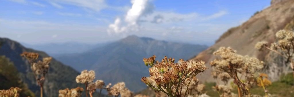 Дмитрий Федоров