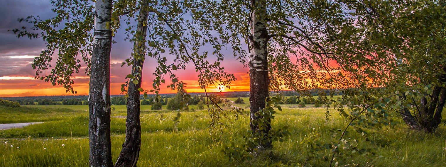 Дмитрий Лаврентьев