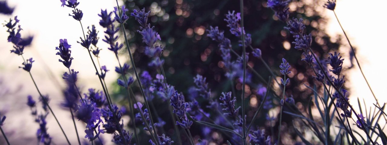 Рогачева Надежда