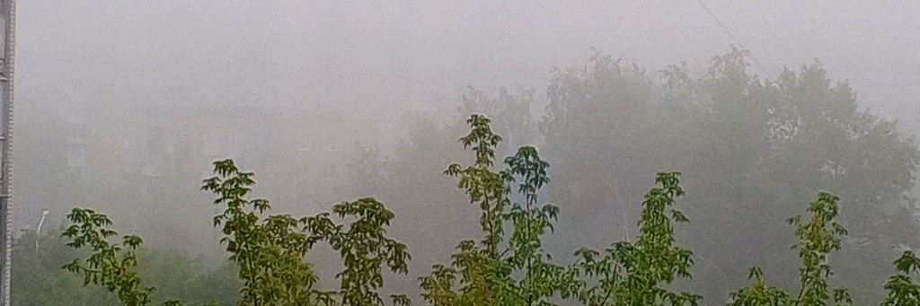 Гусев Алексей