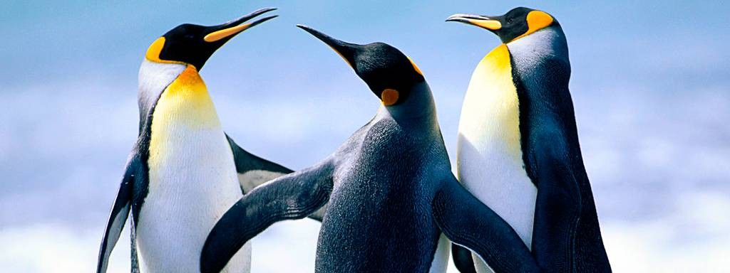 Бабулины вкусняшки