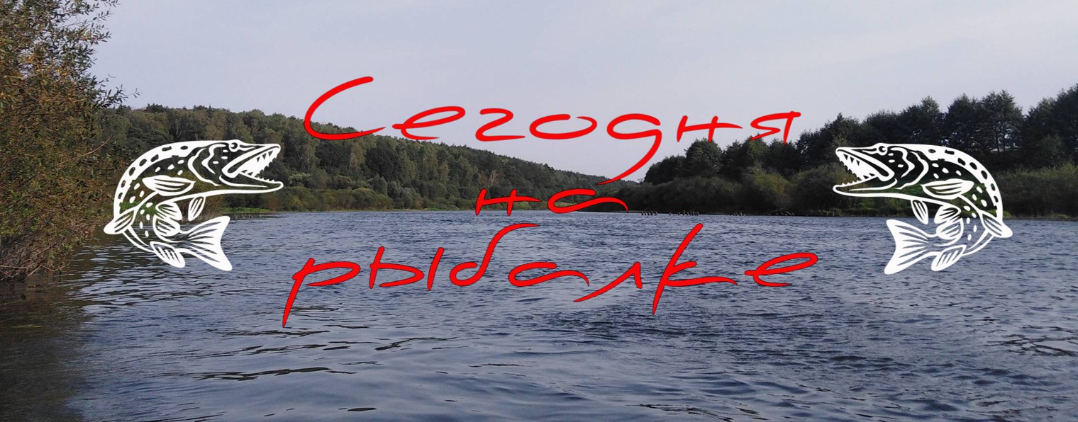 Сегодня на рыбалке