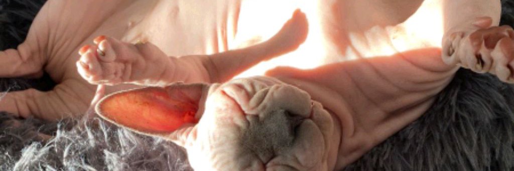 ЧёрныйБриллиант