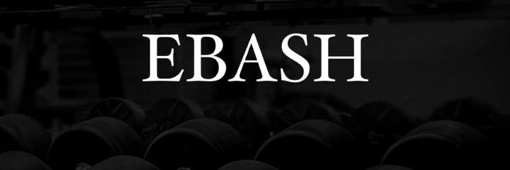 EBASH_style