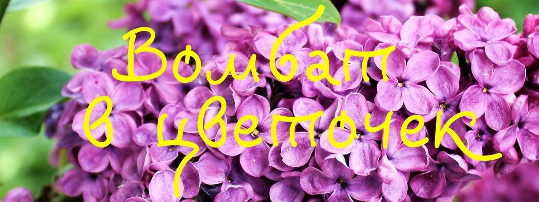 Вомбат в цветочек