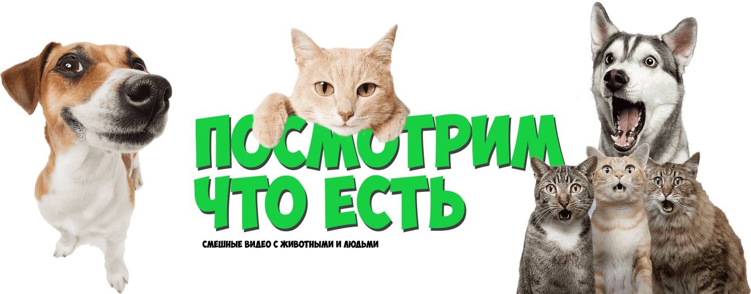 Посмотрим что есть. My darling | ART