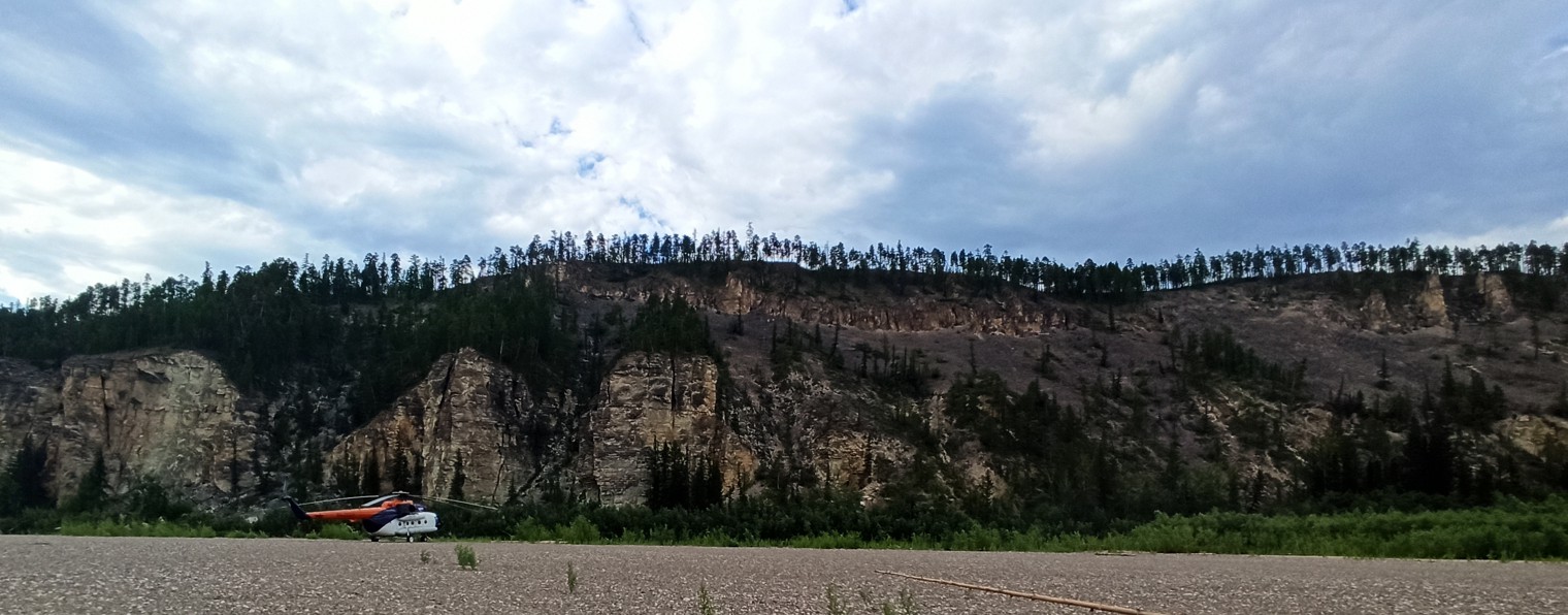 Лесной патруль