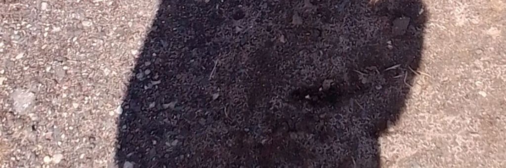 Акула ? Рутуба?