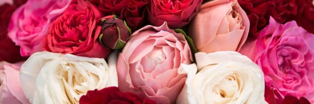 Наталия Резванова