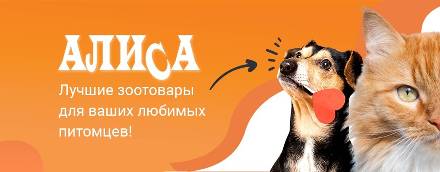 АЛИСА Челябинск