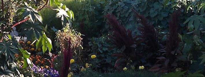 Интересный мой мир