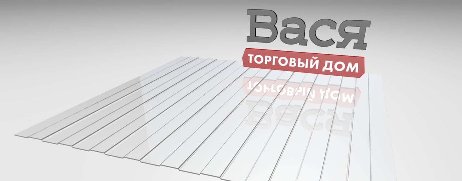 ТД Вася