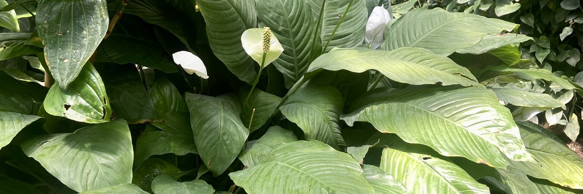 Мир полон чудес 💫