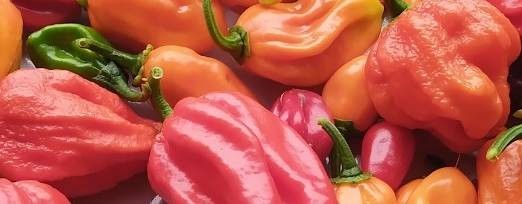 ПРОделки Саныча