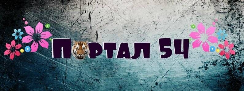 Портал 54 Новосибирск