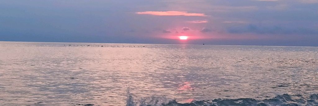 Sun Say & Working