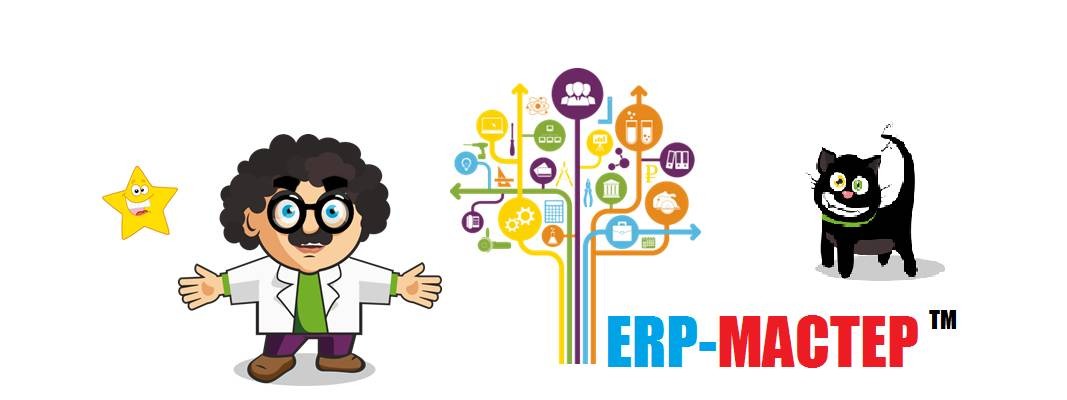 erp-мастер