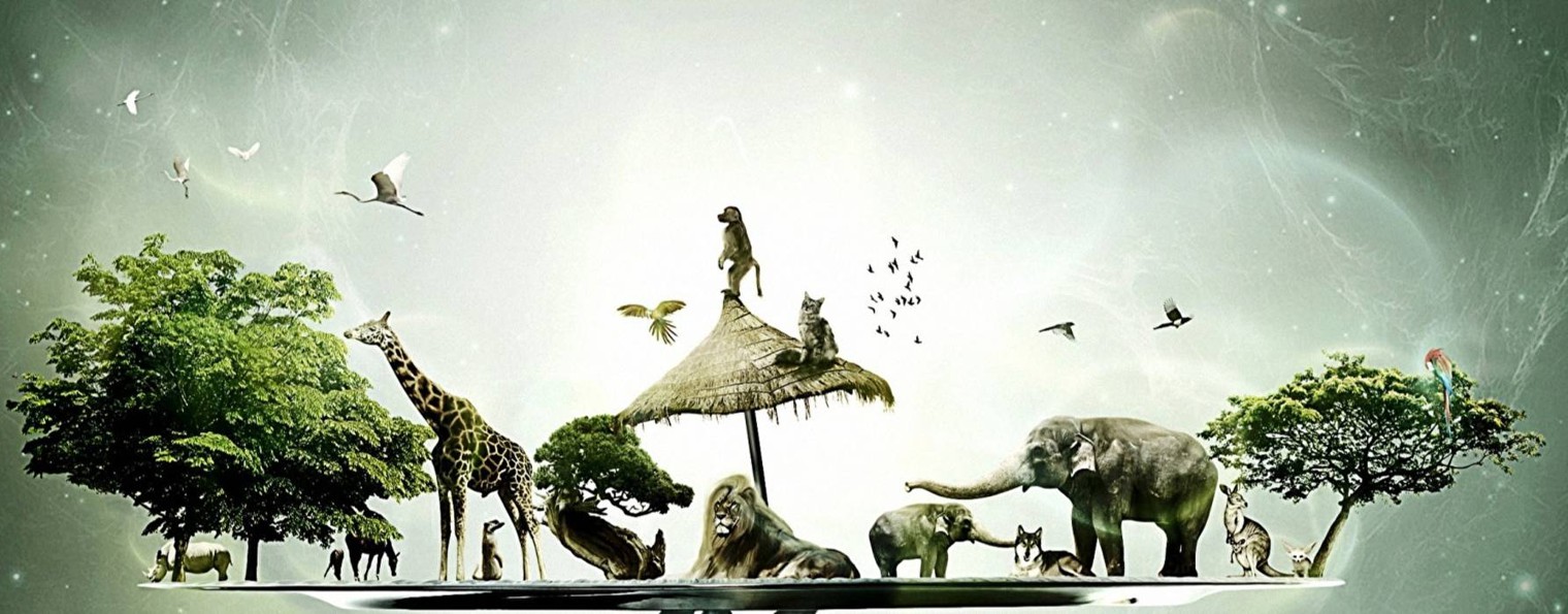 Всемирное Путешествие