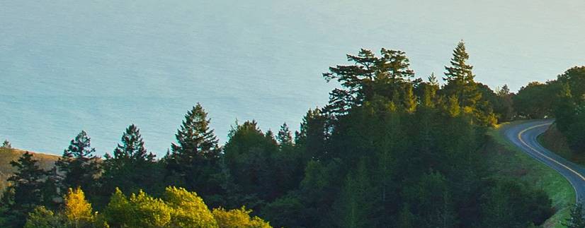 Александра Психолог EMDR (ДПДГ)