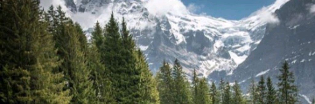 Рыболов Иваныч