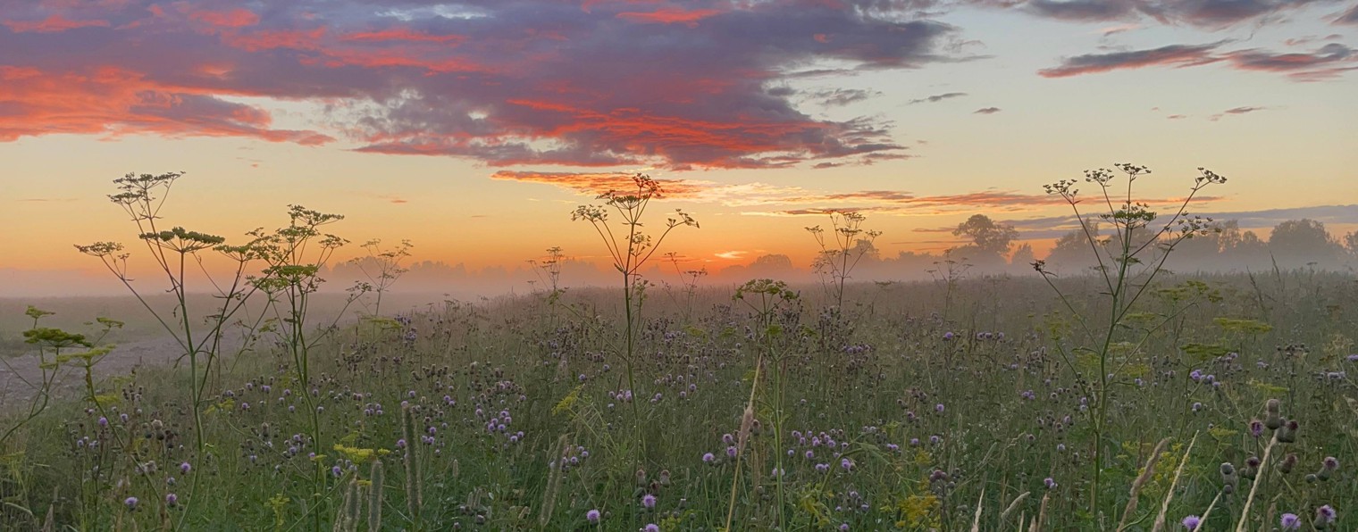 Севернорусские.