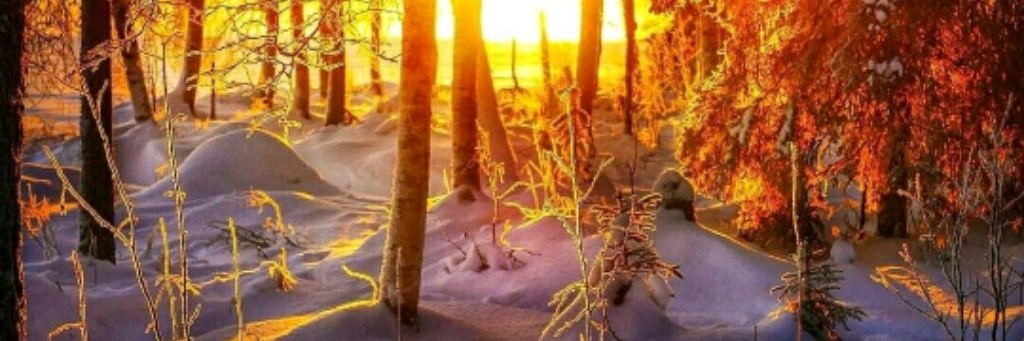 Белугин Виктор